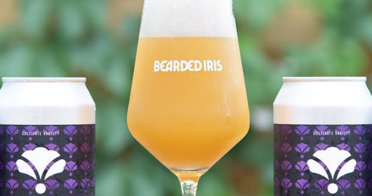 List of Nashville’s Top Breweries | The Beer Travel Guide